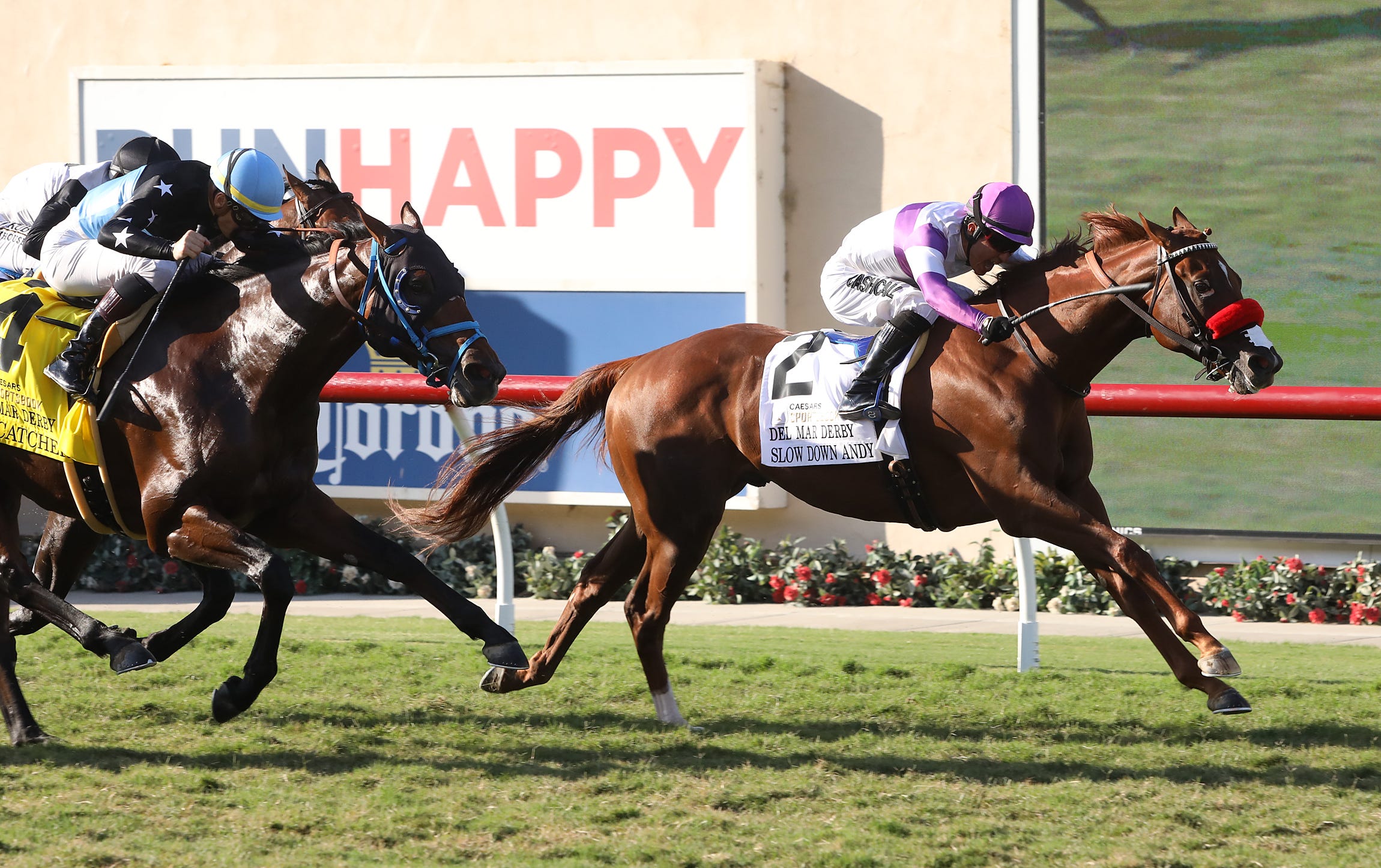 Reddams selling some of their horses, but not Slow Down Andy